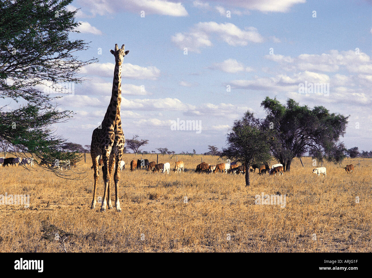 Farm land alongside north hi-res stock photography and images - Alamy