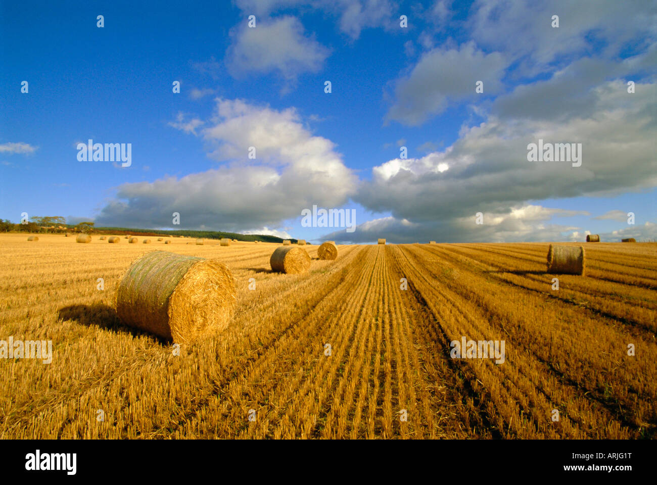 Contin Scotland High Resolution Stock Photography and Images - Alamy