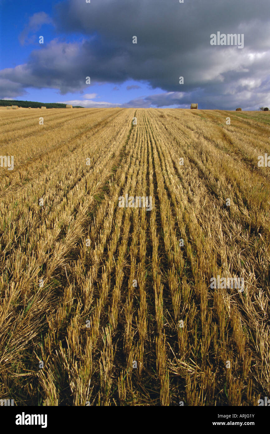 Contin Scotland High Resolution Stock Photography and Images - Alamy