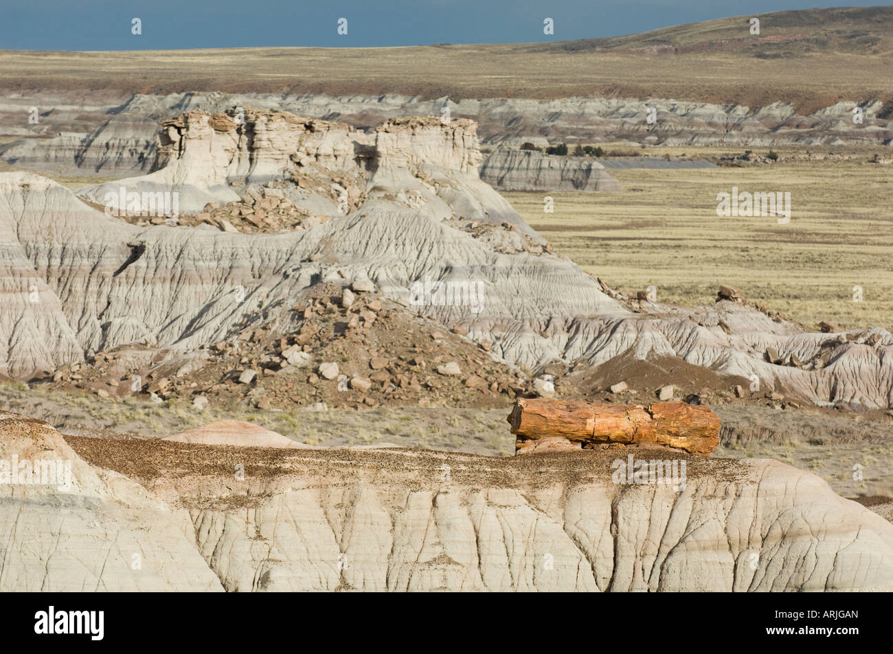 Fossil log trunk, Petrified Forest national park, Arizona, United ...