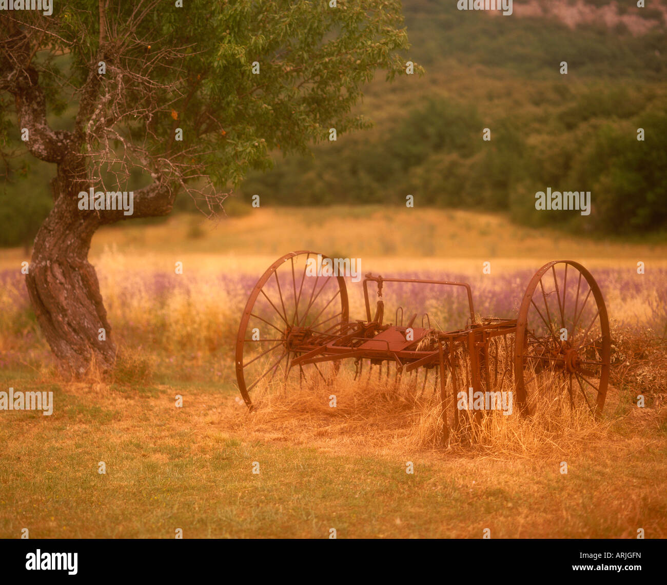Rural scene, Provence, France Stock Photo - Alamy