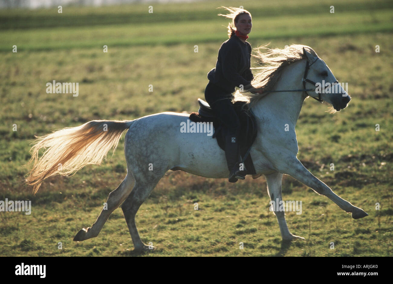 Russian riding hi-res stock photography and images - Alamy