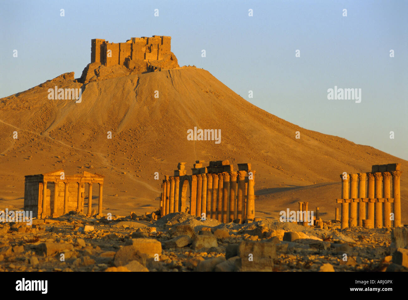 The archaeological site and Arab castle, Palmyra, UNESCO World Heritage ...