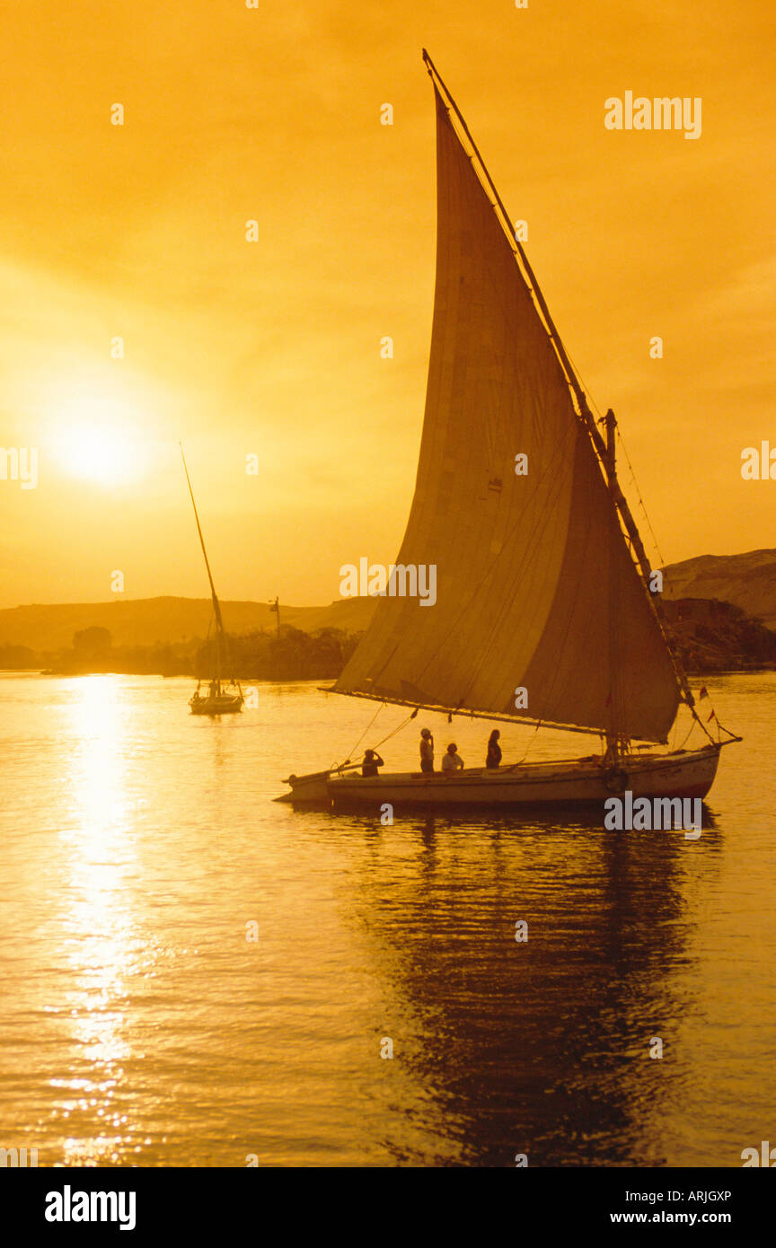 Feluccas under sail at sunset on the Nile river, Egypt Stock Photo - Alamy