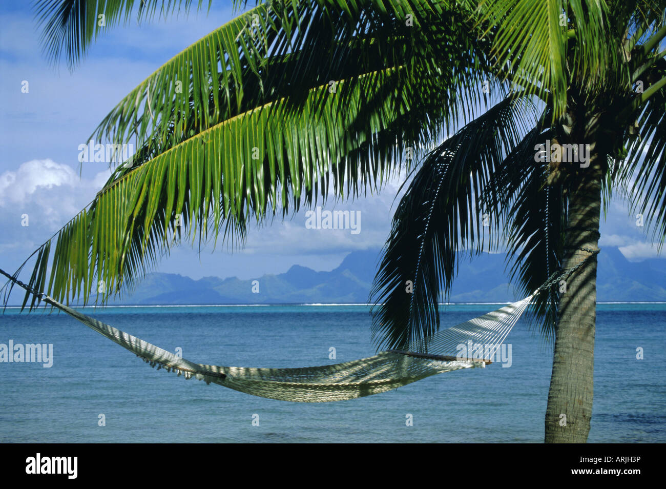 Hammock, Tahiti, Society Islands, French Polynesia, South Pacific ...