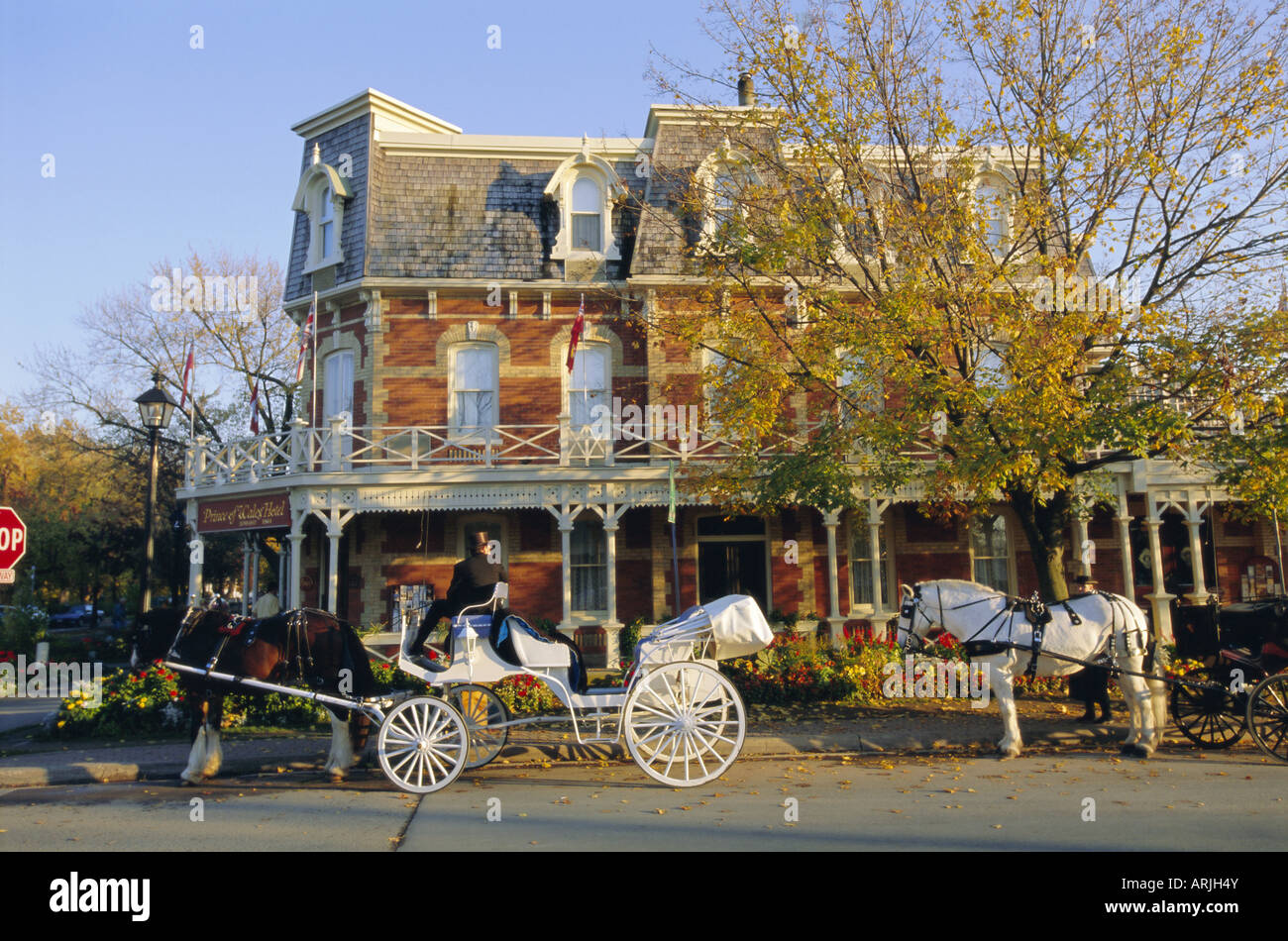 Horse-drawn carriages, Toronto, Ontario, Canada, North America Stock ...