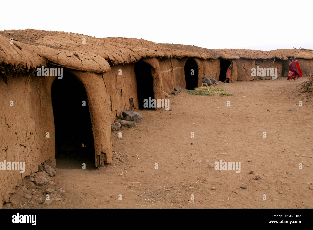 A row of traditional Maasai mud huts in a terrace, showing the doorways ...