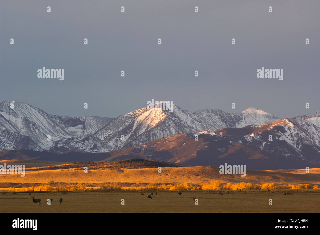 Crazy mountains montana hi-res stock photography and images - Alamy