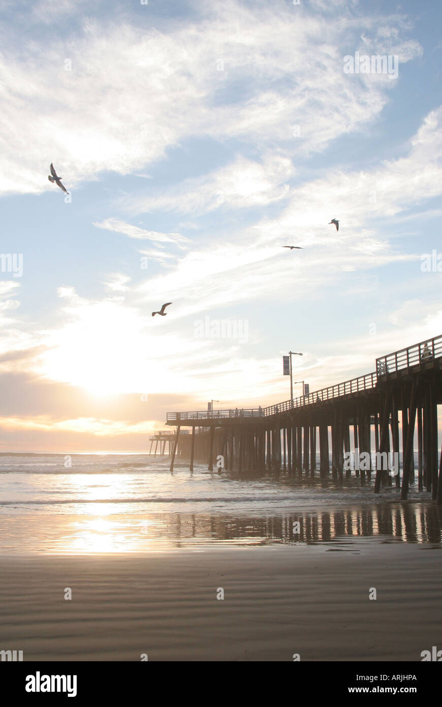Seagulls sandy coastal beach sunset hi-res stock photography and images ...