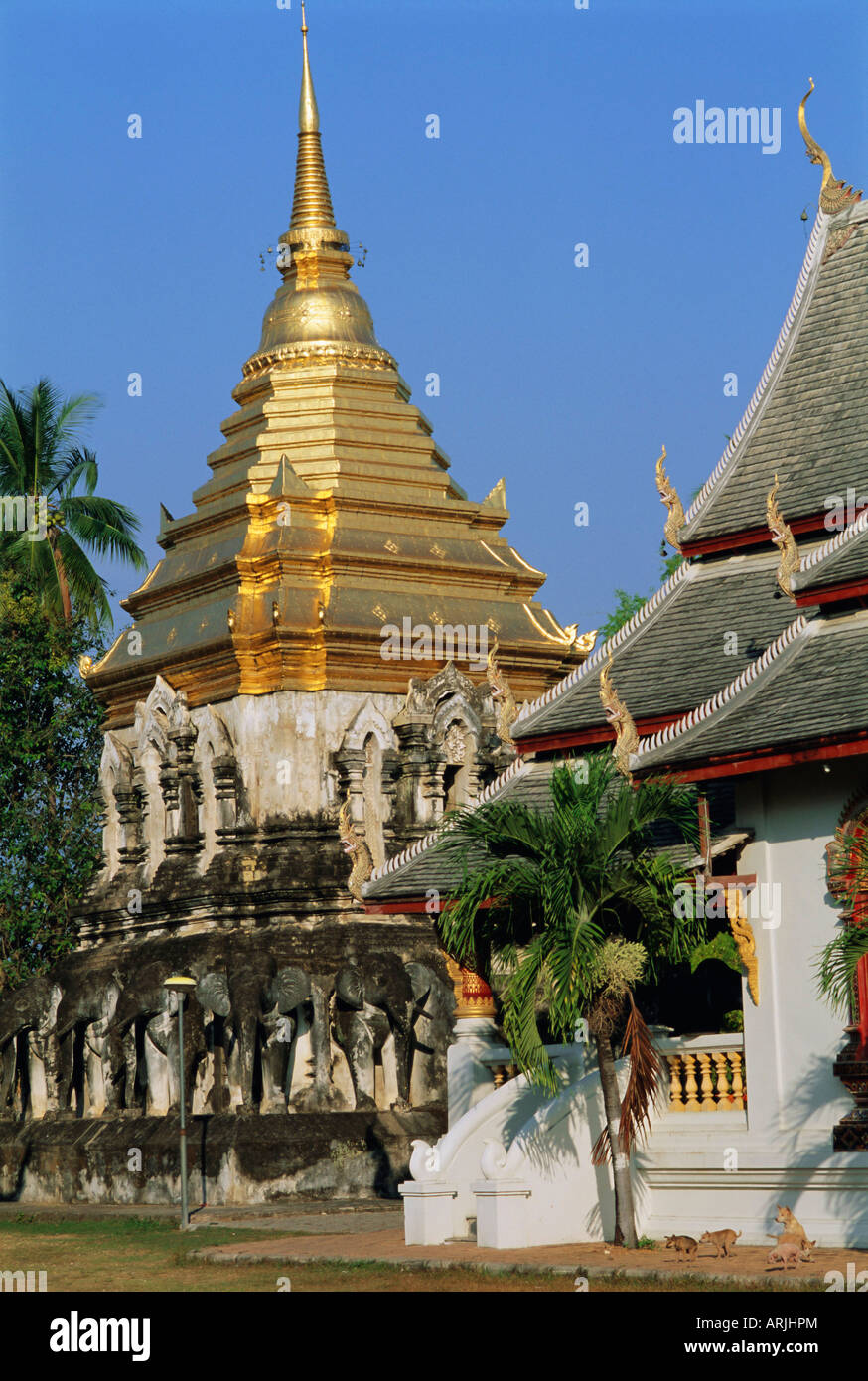 Wat Chiang Man, Chiang Mai, Thailand, Asia Stock Photo - Alamy