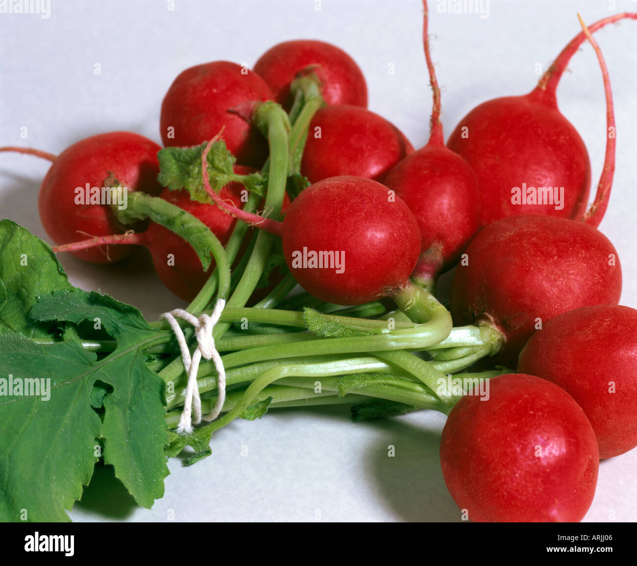 Bunch of radishes with leaves hi-res stock photography and images - Alamy