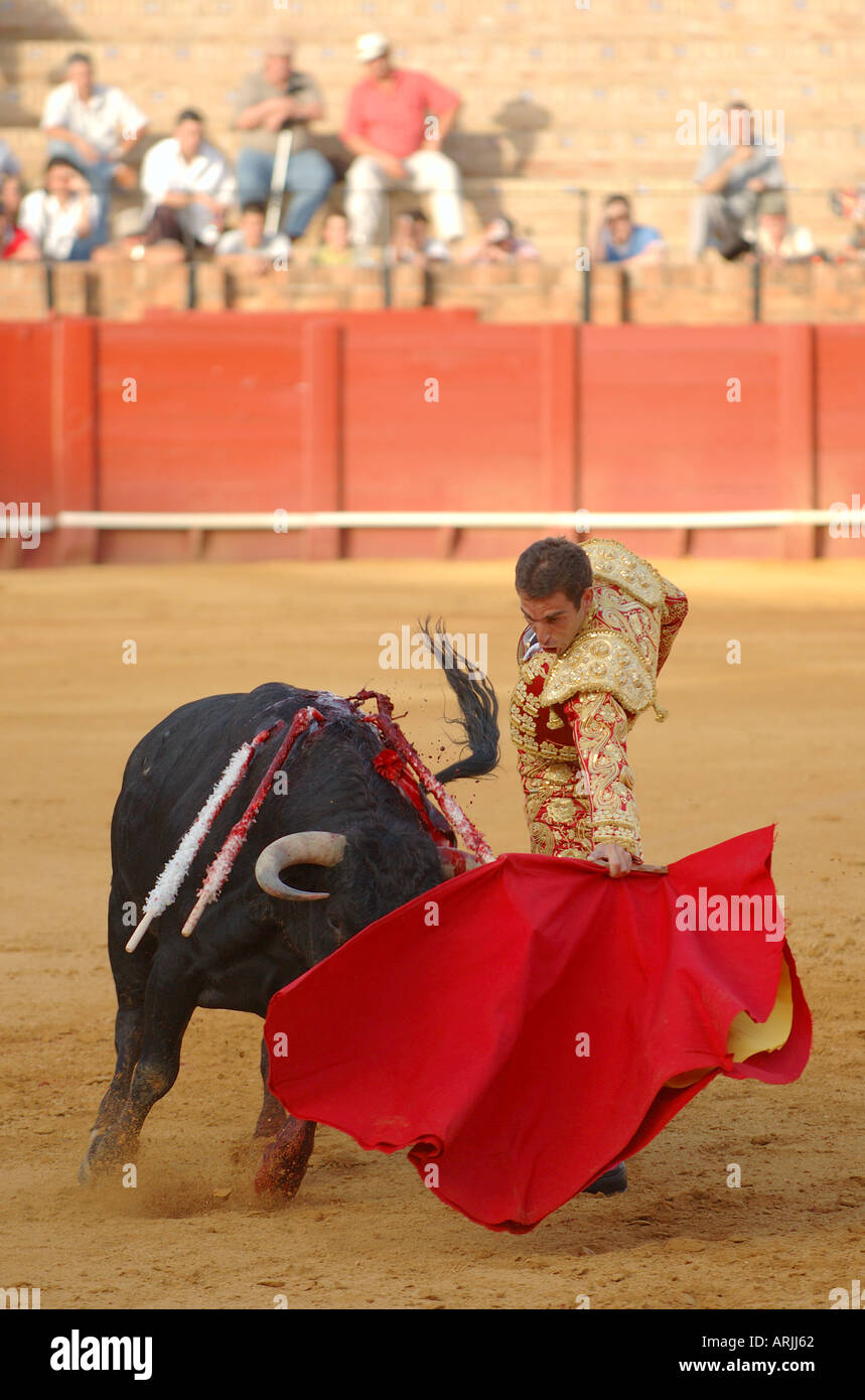 Fighting Matador Logo