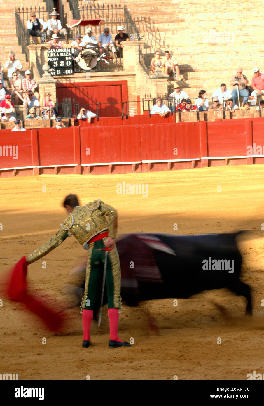 Bull fighter horse hi-res stock photography and images - Alamy