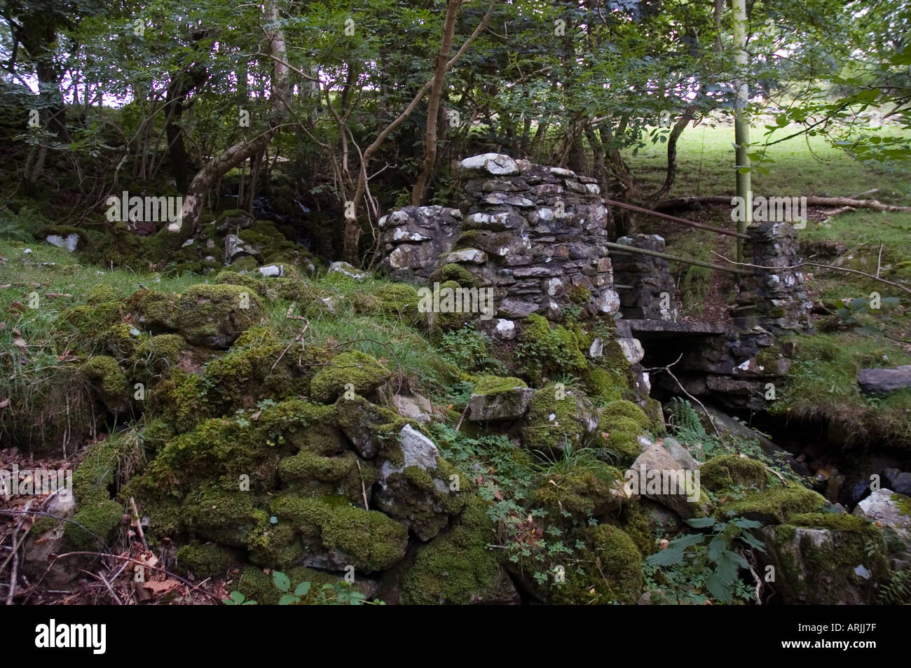 Arthog wales hi-res stock photography and images - Alamy