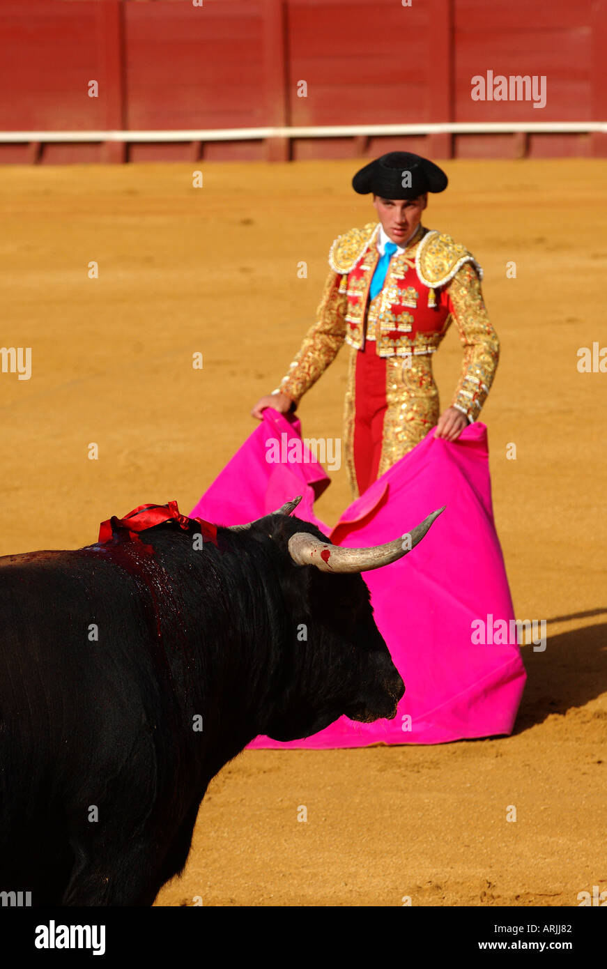 Matador bull fighting in Plaza de Toros de Sevilla Stock Photo - Alamy