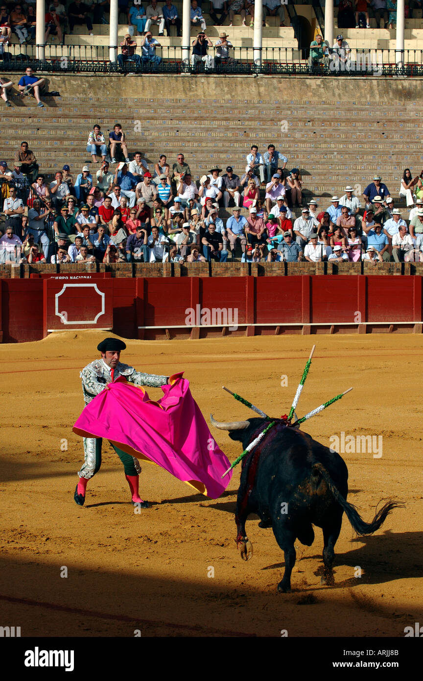 Bullfighter cape pink hi-res stock photography and images - Alamy