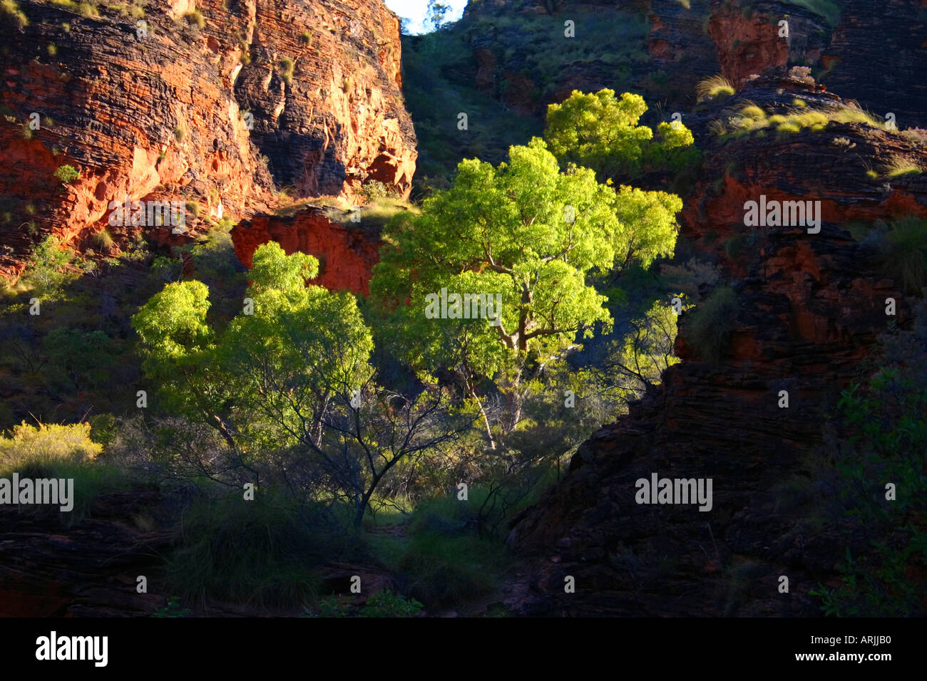 Rugged sedimentary formations and flowers of Hidden Valley in Mirima ...