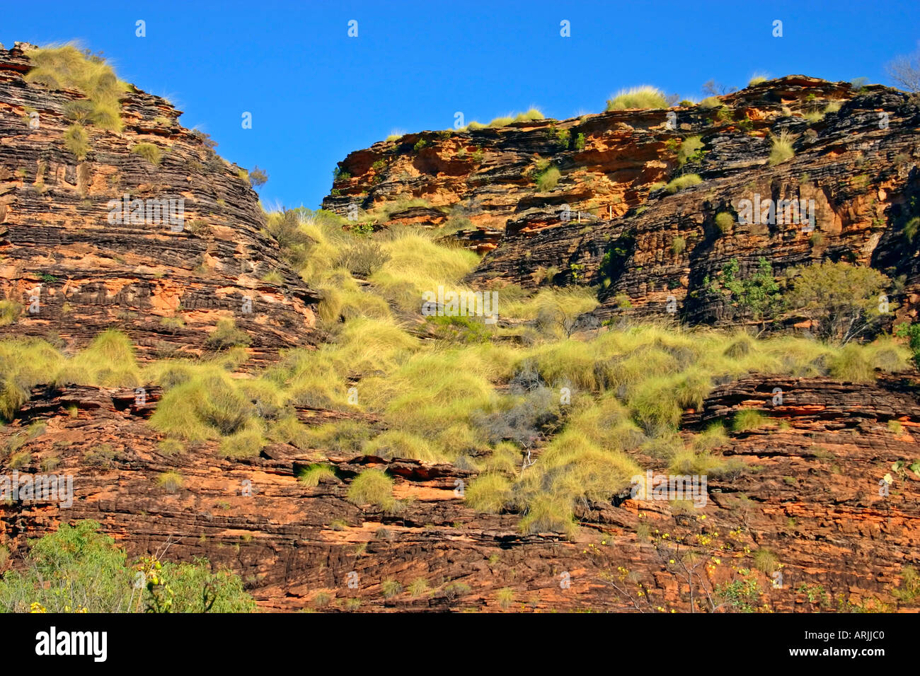 Rugged sedimentary formations and flowers of Hidden Valley in Mirima ...