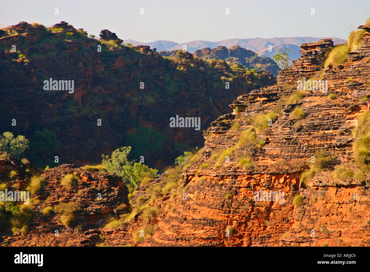 Rugged sedimentary formations and flowers of Hidden Valley in Mirima ...