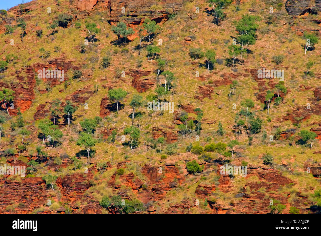 Rugged sedimentary formations and flowers of Hidden Valley in Mirima ...