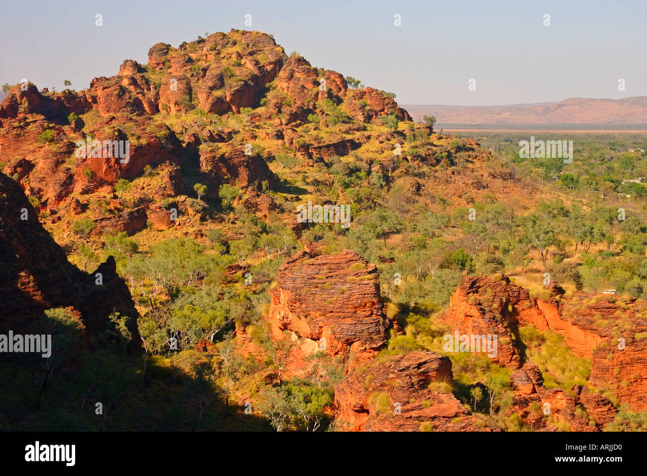 Rugged sedimentary formations and flowers of Hidden Valley in Mirima ...