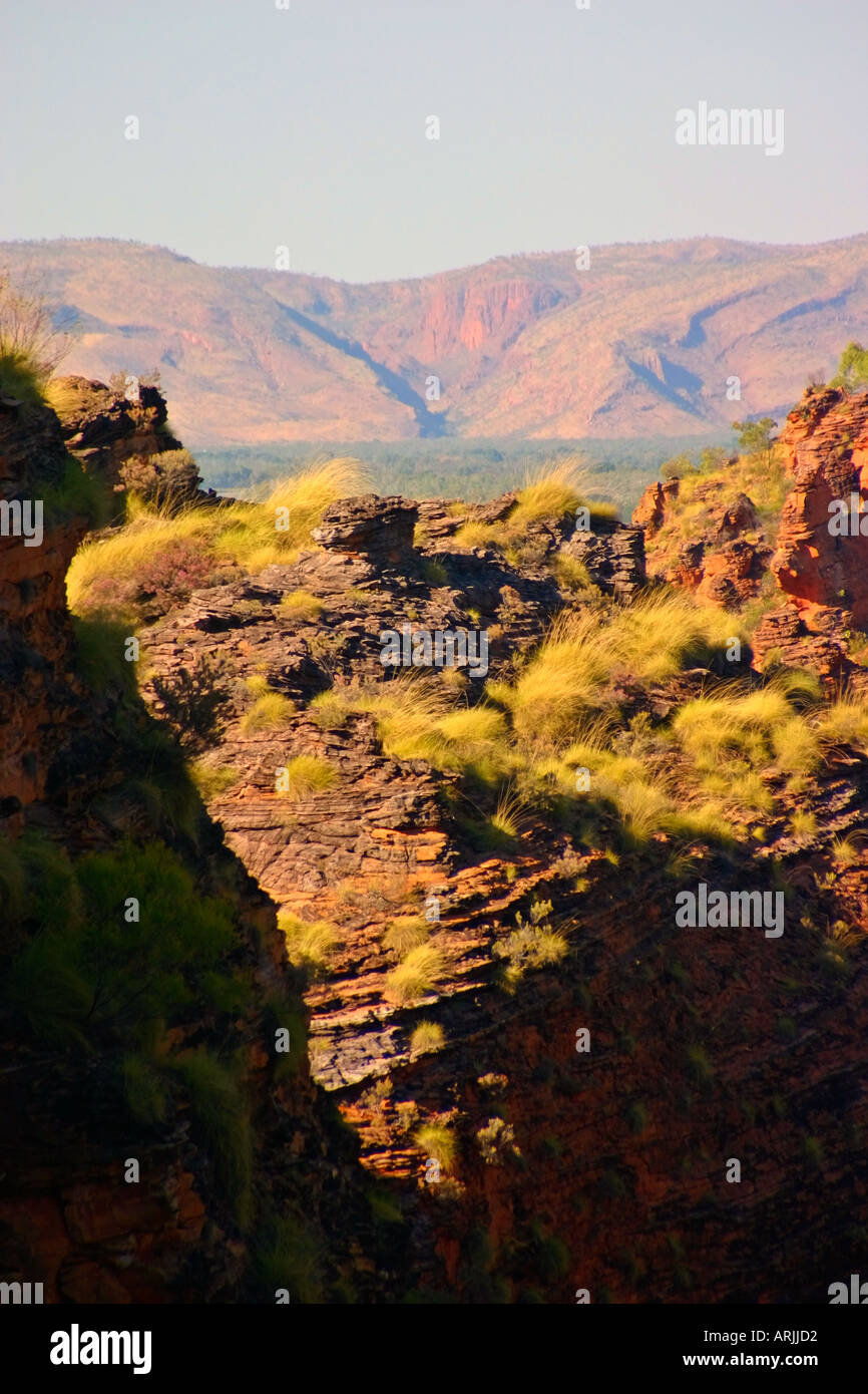 Rugged sedimentary formations and flowers of Hidden Valley in Mirima ...