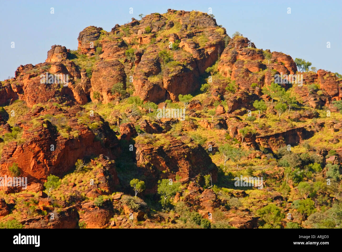 Rugged sedimentary formations and flowers of Hidden Valley in Mirima ...