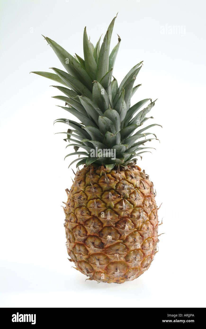 Exotic Fruechte High Resolution Stock Photography and Images - Alamy