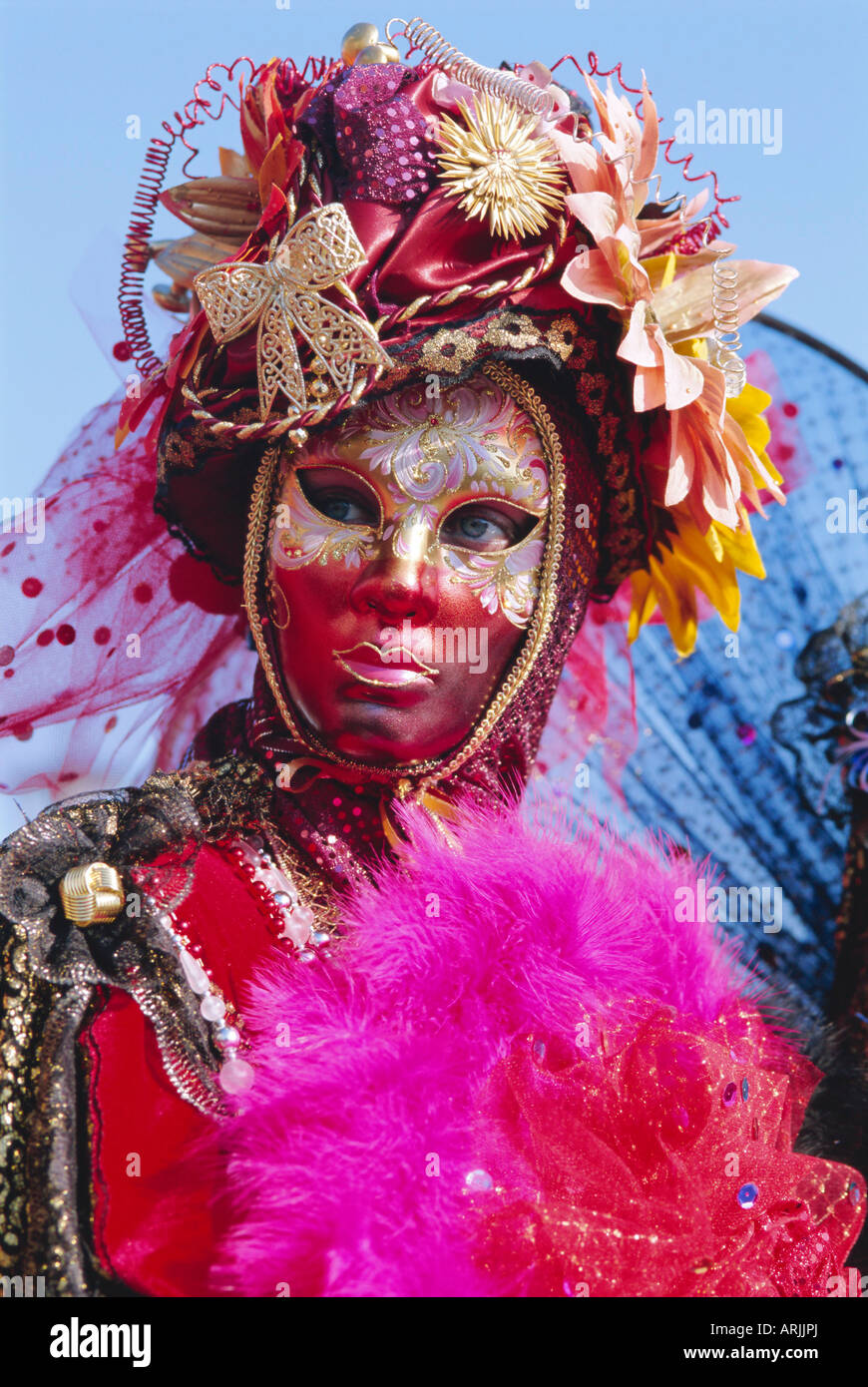 Person wearing masked carnival costume, Venice Carnival, Venice, Veneto ...