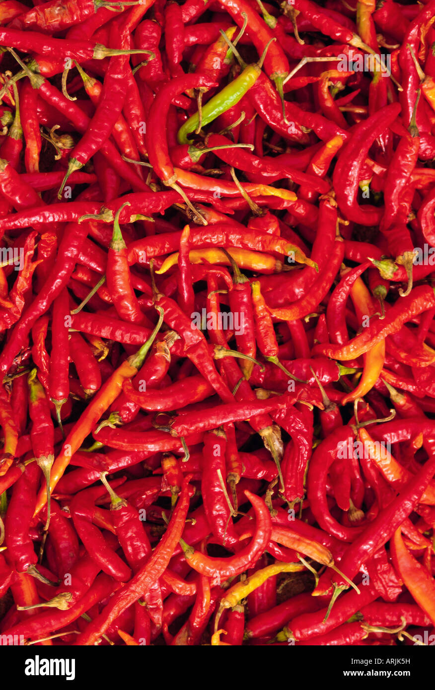 Red chilli peppers, Rajasthan, India Stock Photo - Alamy