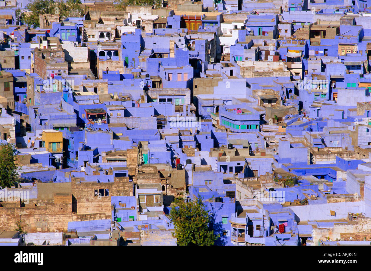 The blue town of Jodhpur, Rajasthan, India Stock Photo - Alamy