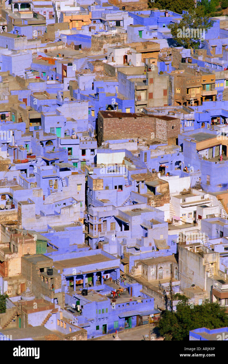 The blue town of Jodhpur, Rajasthan, India Stock Photo - Alamy