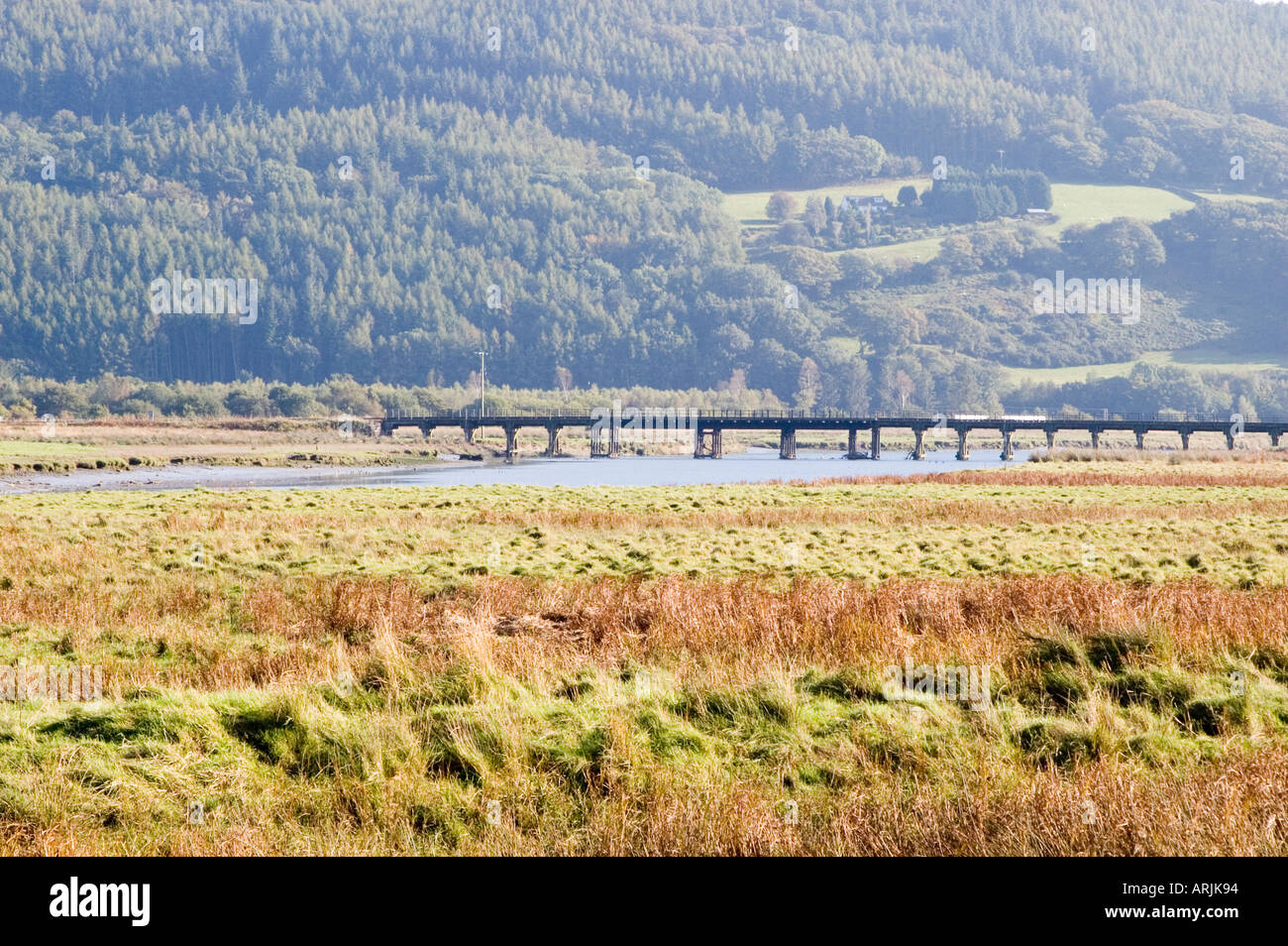 River dovey bridge wales hi-res stock photography and images - Alamy