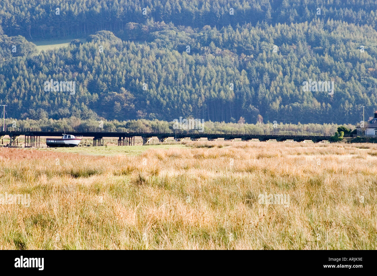 Dovey junction hi-res stock photography and images - Alamy