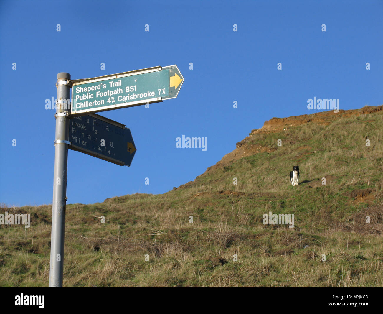 Footpath sign for Shepherd's trail, Isle of Wight, with Border Collie ...