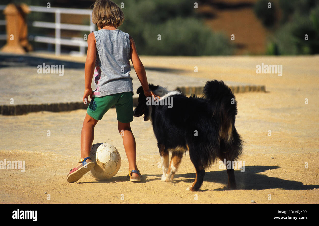 domestic dog (Canis lupus f. familiaris), boy playing with dog Stock ...