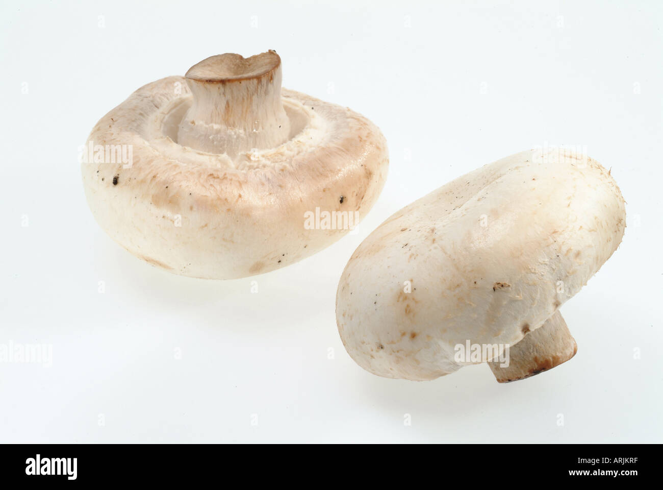Champion mushrooms hi-res stock photography and images - Alamy