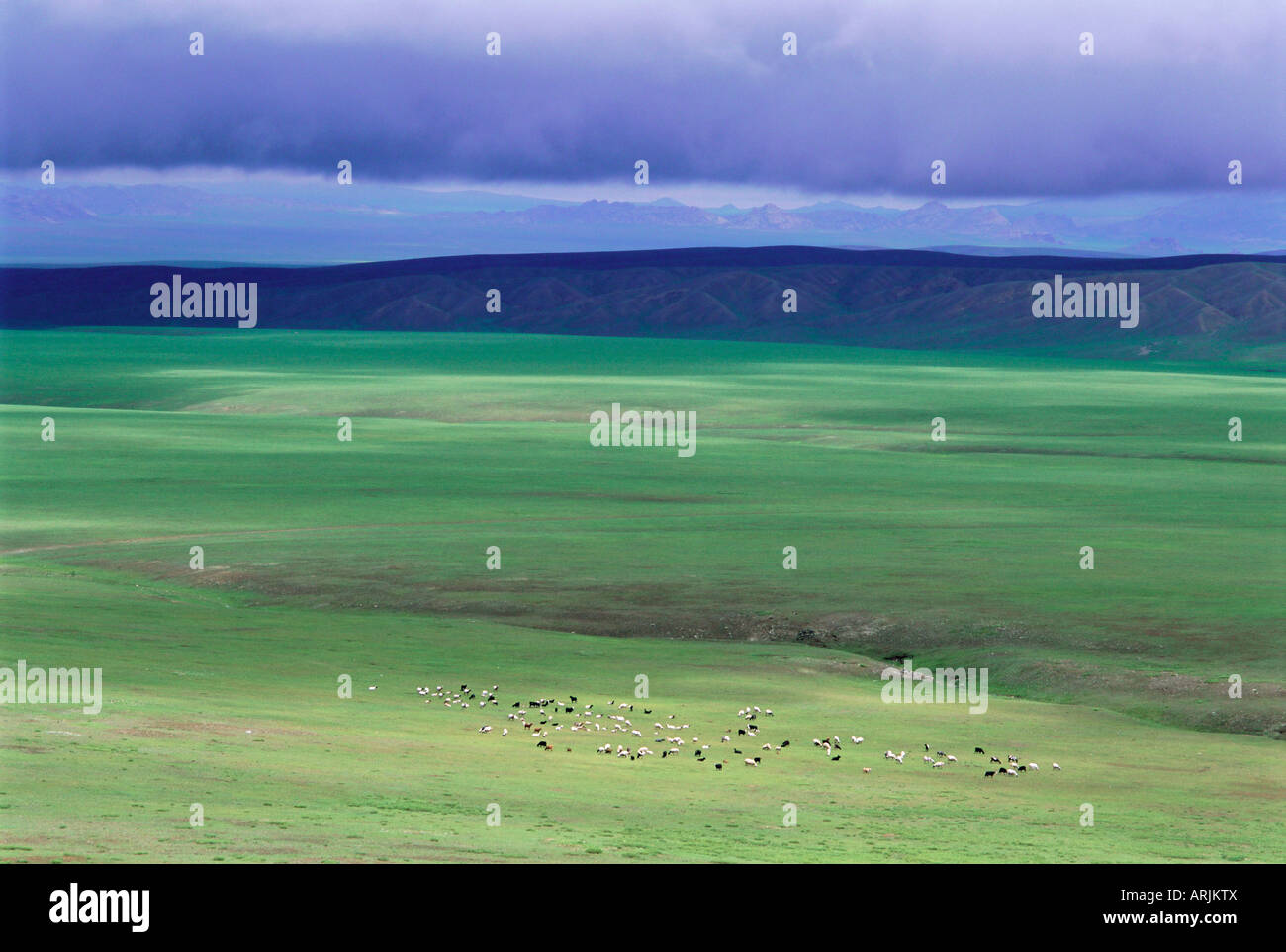 Ovorkhangai province hi-res stock photography and images - Alamy