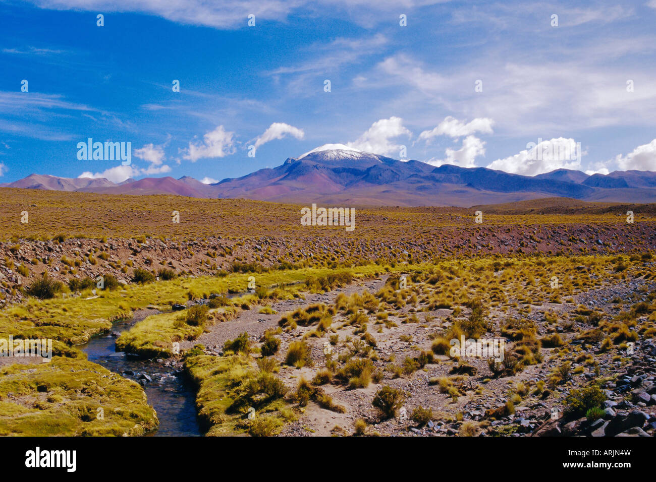 Andean volcanic landscape near the Blue Lake (Laguna Celeste), Eduardo ...