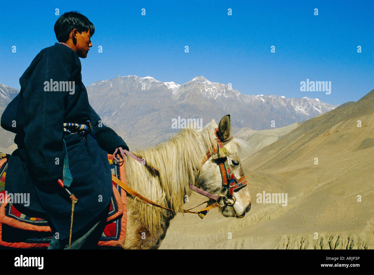 Young Gurung man on his horse near KaGBeni, Nepal Stock Photo - Alamy