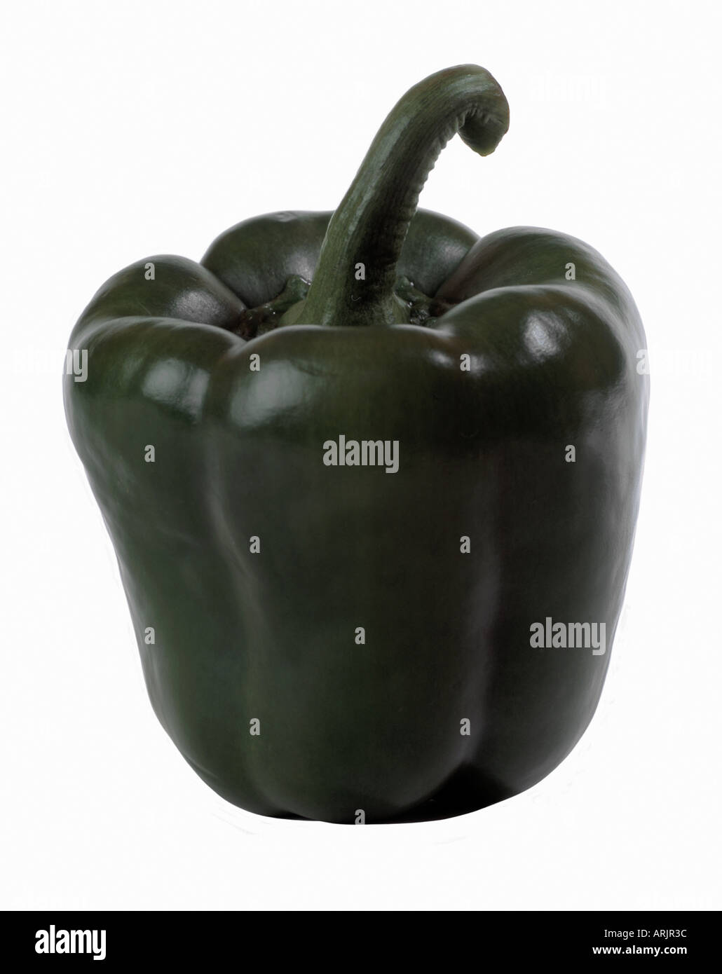 Capsicum bell pepper capsicum annuum Cut Out Stock Images & Pictures ...