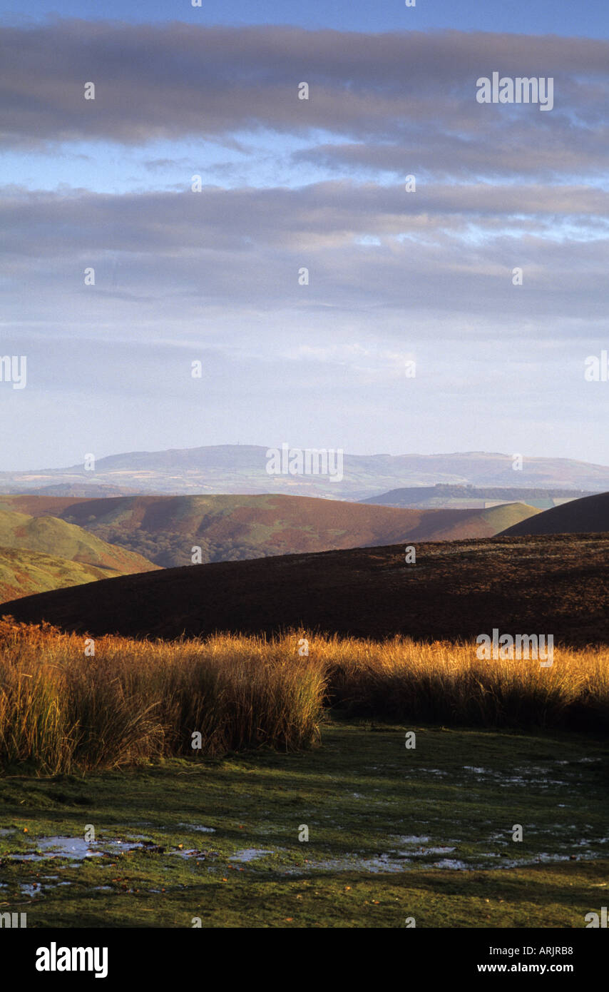 Welsh drovers hi-res stock photography and images - Alamy
