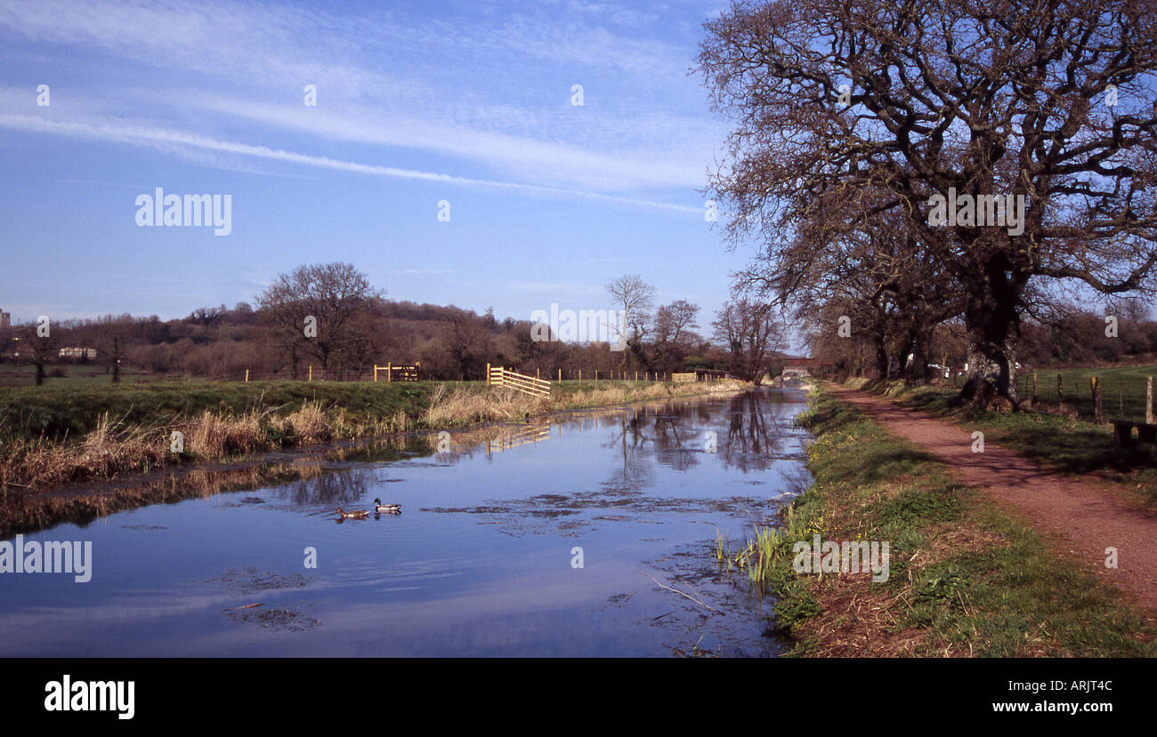 The Grand Western Canal near Sampford Peverell in Devon Stock Photo - Alamy