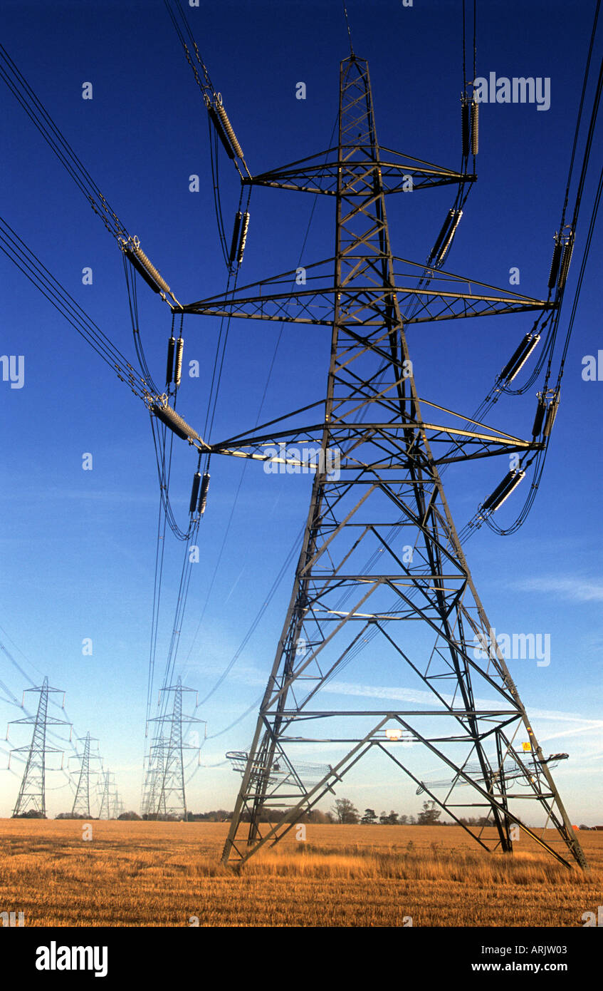 Pylons carrying high voltage electricity cables from the nuclear power ...