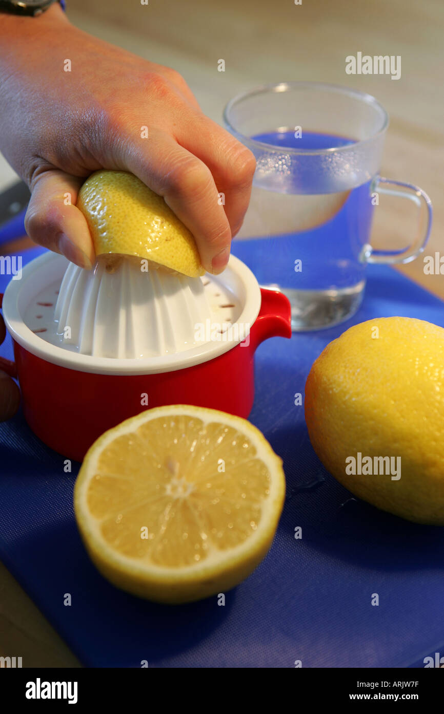 DEU, Germany : Health, cold, sickness. Young woman makes a hot citron ...