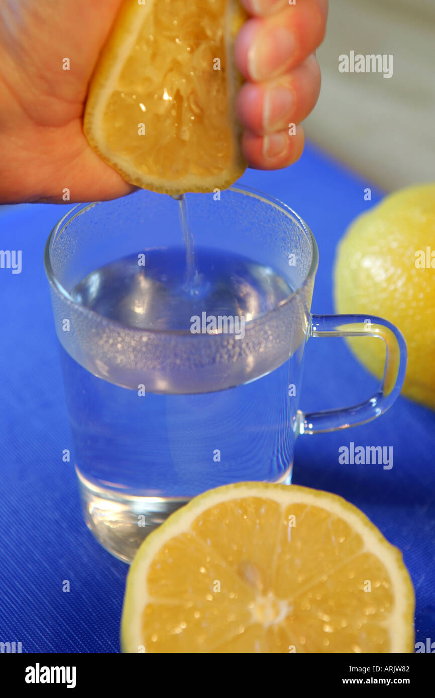 DEU, Germany : Health, cold, sickness. Young woman makes a hot citron ...