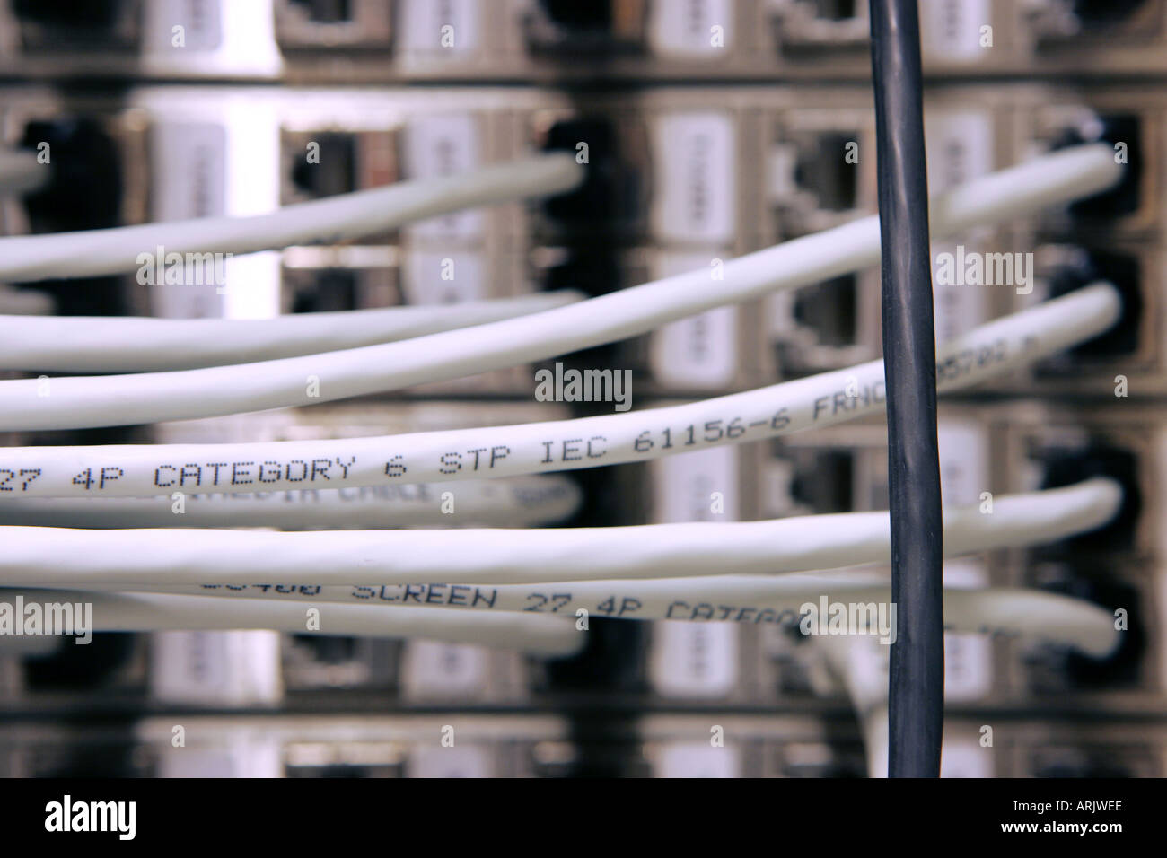 DEU, Germany : Cable of a computer server center of a company Stock ...