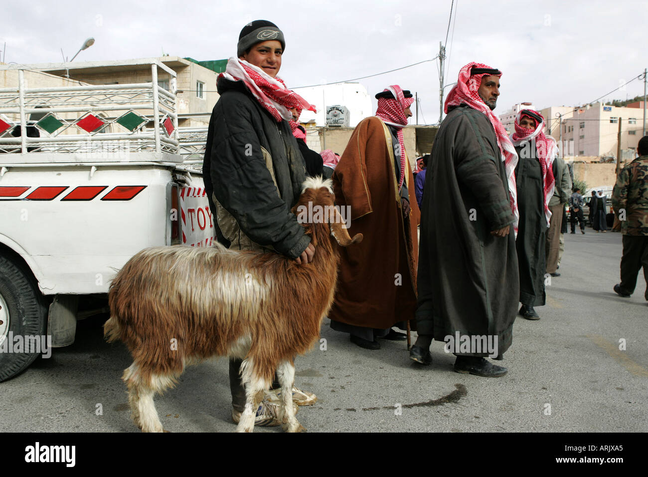 JOR, Jordan, cattle market Stock Photo - Alamy