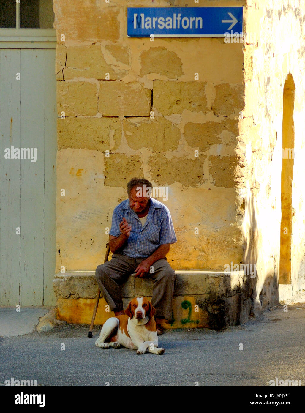 Malta man dog hi-res stock photography and images - Alamy