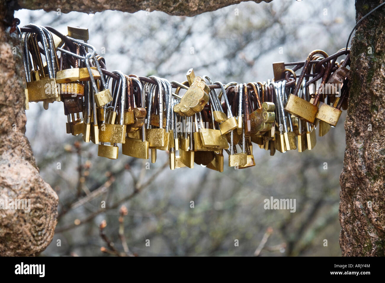 Hanging padlocks hi-res stock photography and images - Alamy